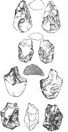 Paleolithic Age Tools Phases Hunter Gatherer Life for UPSC Exam ...